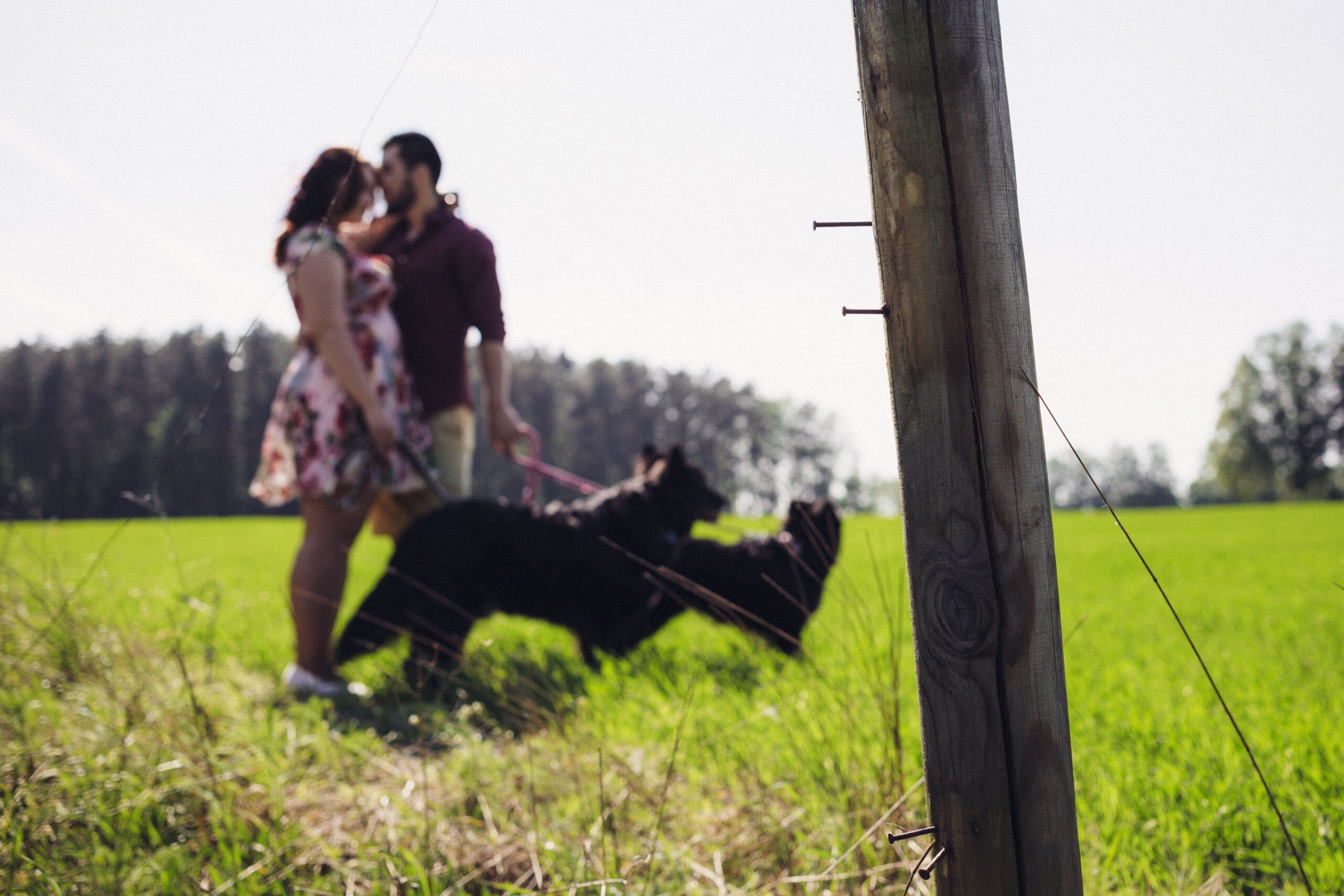 Calgary Marriage Counselling: Why can't you just love me? - Session ...