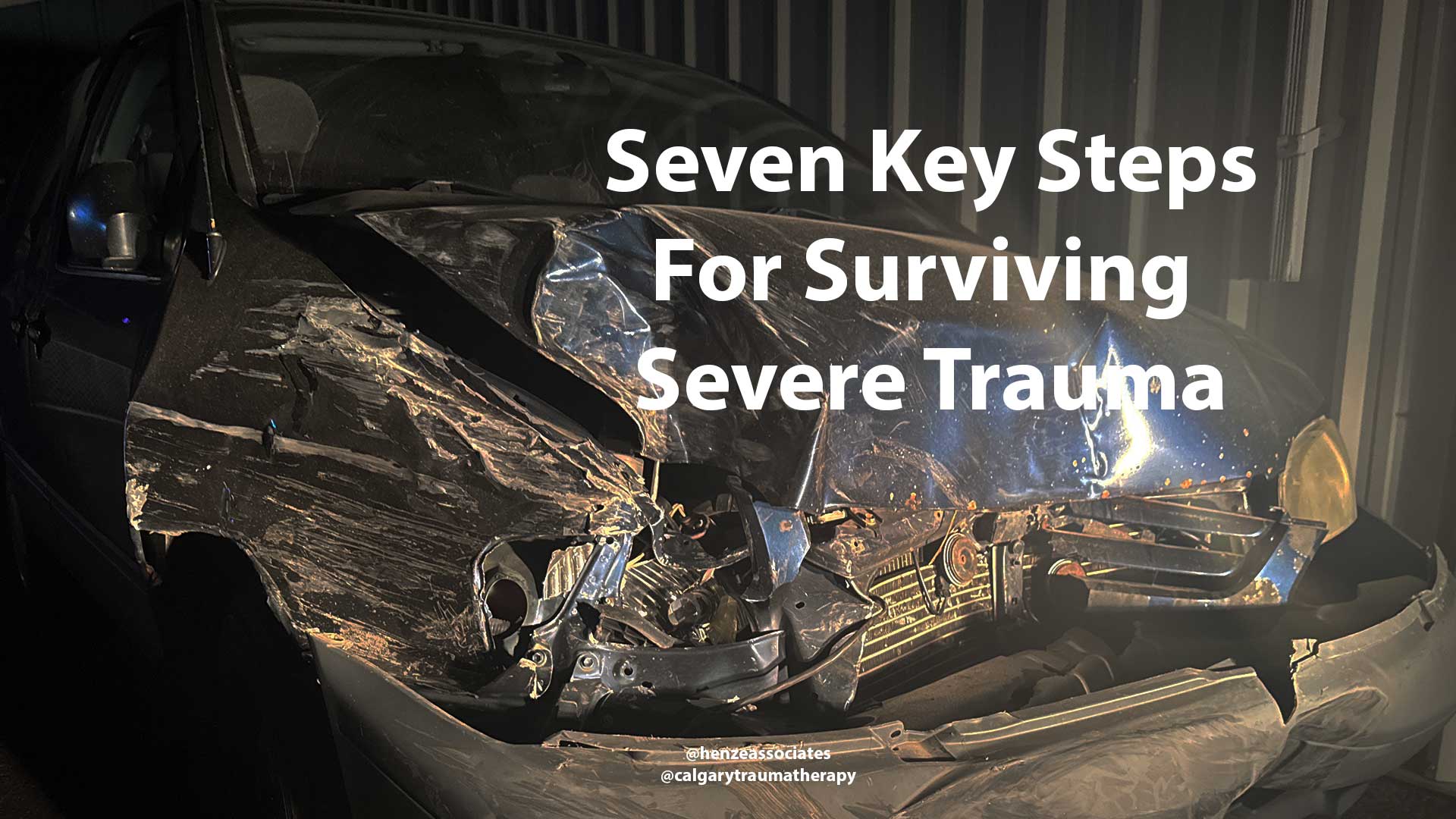 Calgary Trauma Counselling: 7 Steps: Survive Severe TraumaSession Notes